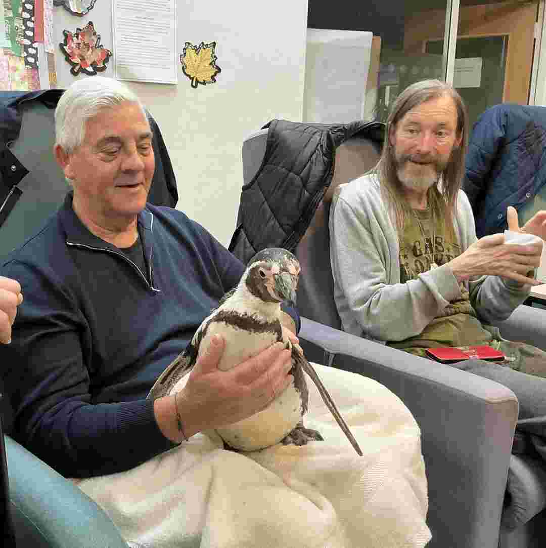 A special animal visit brings joy | The Mary Stevens Hospice